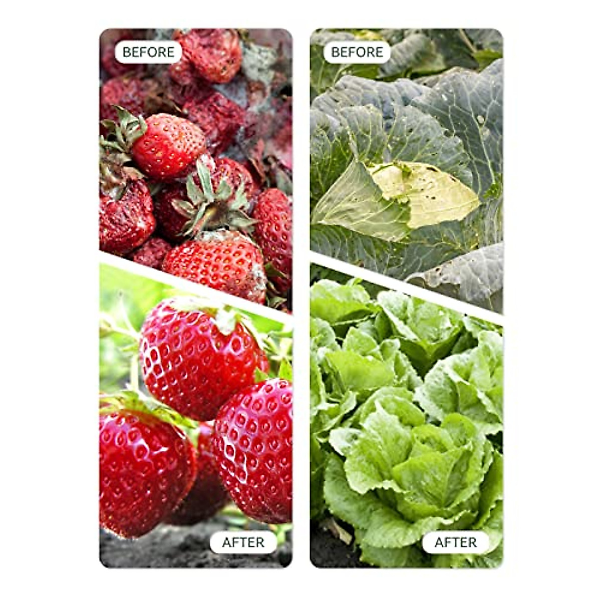 6PCS 25.6 x 31.5 in Garden Hoops, Greenhouse Hoops Kit with 24.6 x 8.2 ft Garden Mesh Cover Net & 24pcs Clips for Vegetable Flowers Fruits Plants Greenhouse Protection from Birds Animals