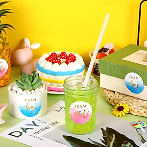 Lincia 100 Pieces Gold Watercolor Gender Reveal Stickers 2 Inches Gold Glitter Team Boy Team Girl Labels Pink and Blue Stickers for Gender Reveal Parties, Baby Showers, Party Invitations