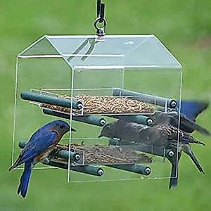 Amzey Dried Mealworms -2 LBS- 100% Natural Non GMO Mealworms -Food for Chicken- High Protein Mealworms for Bird, Duck Food, Bearded Dragon Diet, Gecko Food, Turtle Food, Lizard Food - Bulk Mealworms