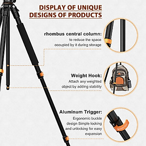 GEEKOTO Tripod, Camera Tripod for DSLR, Compact Aluminum Tripod with 360° Ball Head, 62 Inch Professional Tripod with 1/4 Inch Quick Release Plate, for Video Conferencing, Travel and Work
