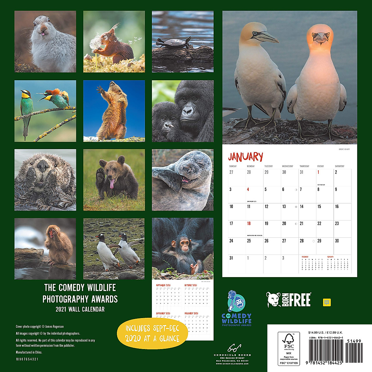 Comedy Wildlife 2021 Wall Calendar: (Funny Animal Monthly Calendar, Calendar with Photographs of Wild Animals Doing Funny Things)