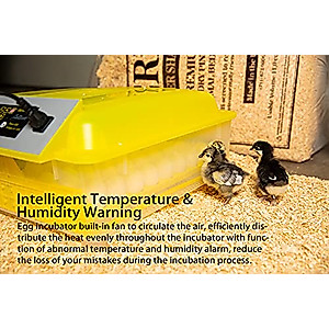 XtremepowerUS 97056-1 48 Digital Incubator with Fully Automatic Turning and Humidity Control 80W Clear Hatching for Chicken Duck Eggs, Yellow