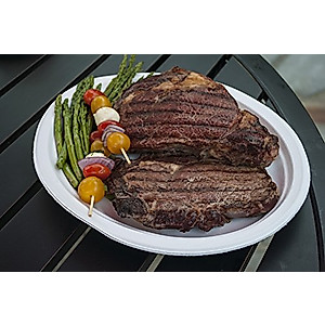 Chinet Classic White Dinner Plates