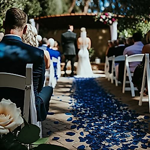 Aldeepo 1000 Pcs Artificial Rose Petals for Romantic Night, Fake Rose Flower Petals for Wedding, Party, Valentines Day Decorations for The Home (Blue)