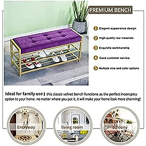 SoOSSN Entryway Bench with Golden Shoe Shelf,Modern Shoe Bench Shoe Organizer Bench Seat,Shoe Rack Bench Shoe (Color : Purple, Size : 47x14x18inch)