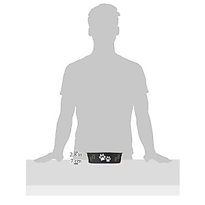 Loving Pets - Bella Bowls - Dog Food Water Bowl No Tip Stainless Steel Pet Bowl No Skid Spill Proof (Large, Espresso Brown)