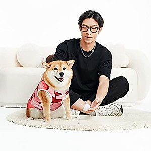 Heart Shape Balloon Dog Puppy Cotton T-Shirt, Valentine's Day Washable Pets Clothes for Kitty Cats Dogs All Seasons 5XL