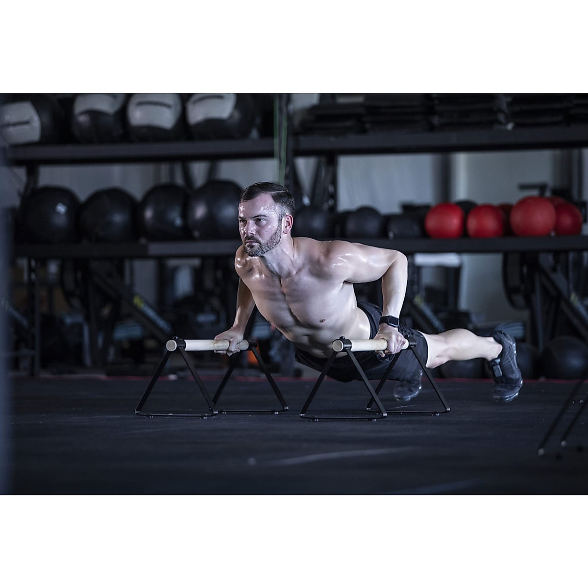 Vita Vibe Wood Parallettes Set 18" - 24" Long (24" Long)