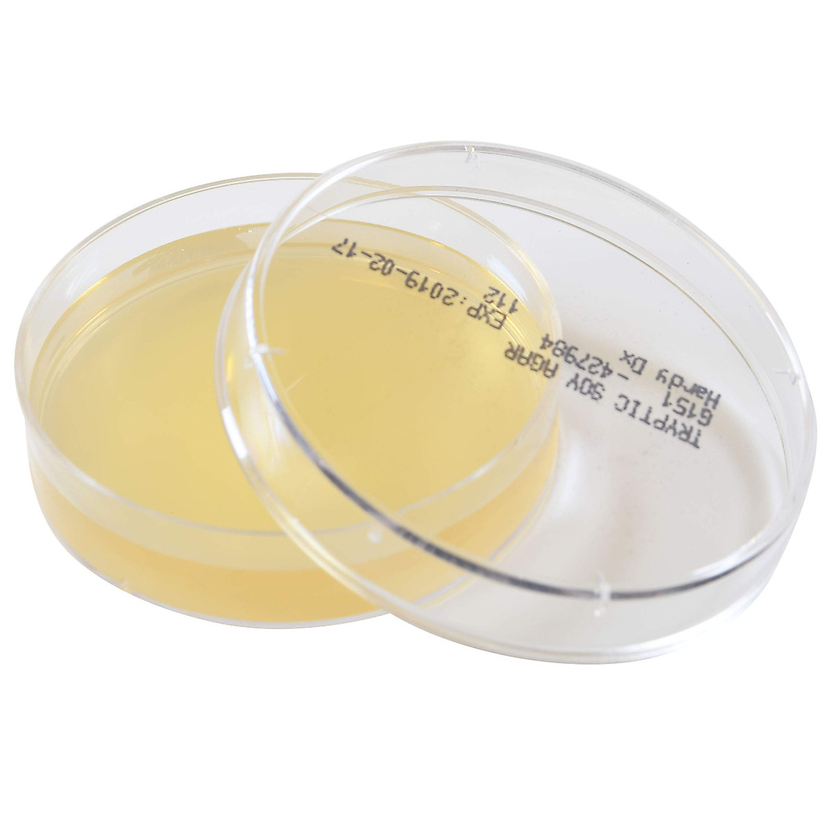 Tryptic Soy Agar (TSA), Small 15x60mm Plate, Order by The Package of 10, by Hardy Diagnostics