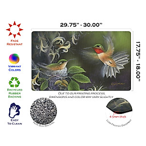 Toland Home Garden 800036 Rufous Hummingbird Spring Door Mat 18x30 Inch Summer Outdoor Doormat for Entryway Indoor Entrance