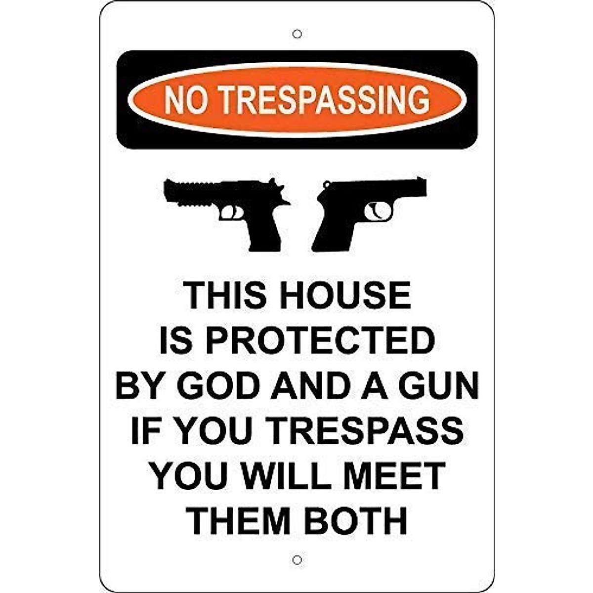 NDTS Metal Deco Sign 8x12 inches No Trespassing This House is Protected God A Gun Trespass You Will Meet Them Both Sign Metal Aluminum Sign Metal Wall Plaque Tin Sign