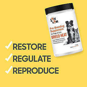 Breed Heat - Breeding & Reproductive Supplement for Dogs & Cats (Formerly Thomas Labs, Same Product) - 16 oz Powder