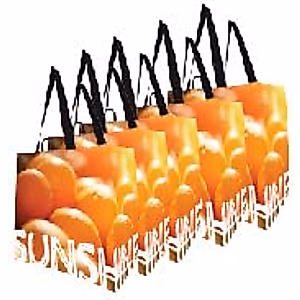 Earthwise Reusable Grocery Shopping Bags Extremely Durable Multi Use Large Stylish Fun Foldable Water-Resistant Totes