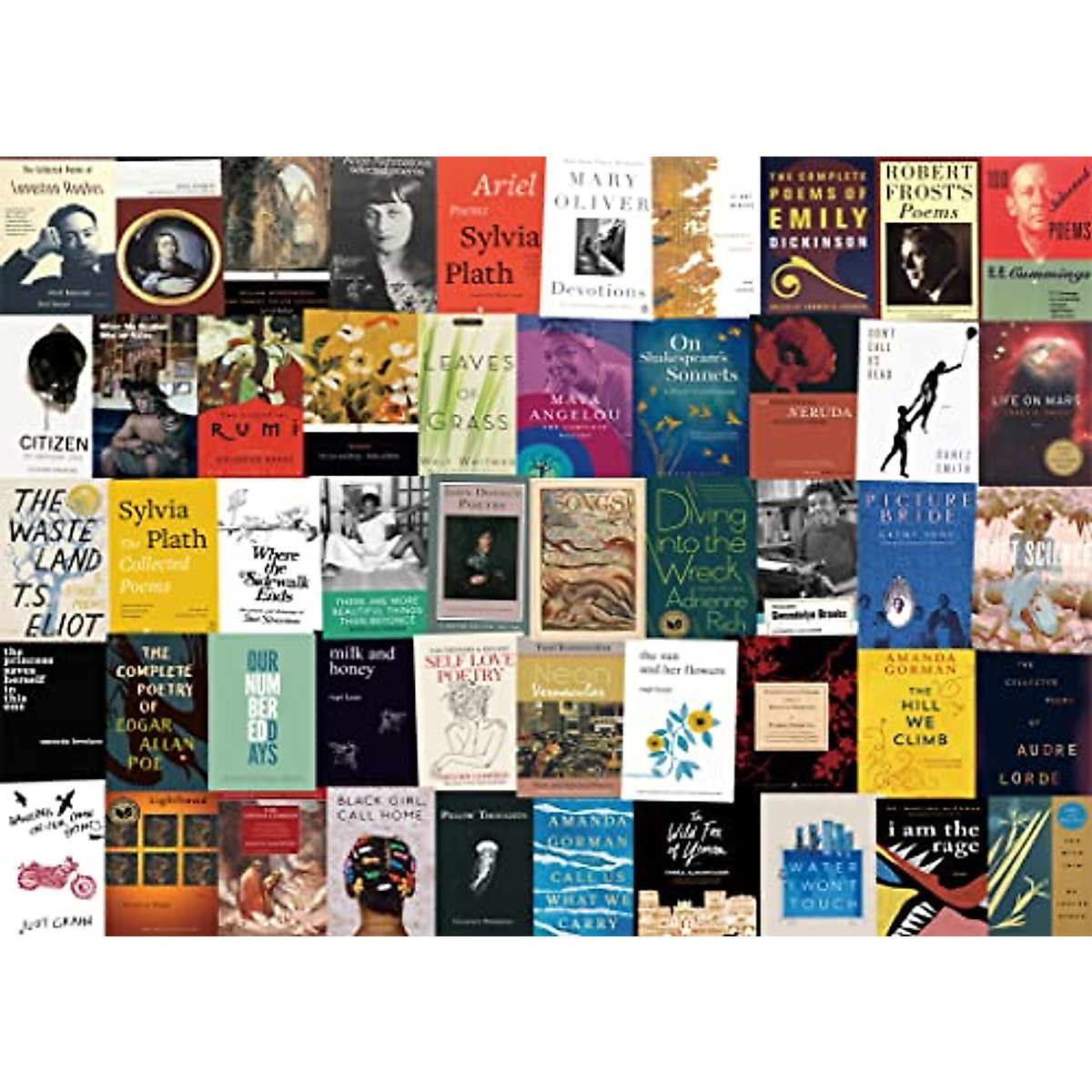 Book Puzzles for Adults 1000 Piece, Greatest Poetry Book Covers Collage Puzzle, 50 Classic Poems Books Add to Your Literary Bucket List, Good Gift for Book Lovers and Poem Fans