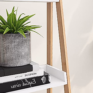 Ladder Shelf, Plant Shelf, Display Shelf, Storage Shelf, Living Room Decor and Accessories, Bamboo Bookshelf, 4 Tier Shelf for Living Room, Bedroom, Kitchen, Rust Resistance, Easy Assembly, White