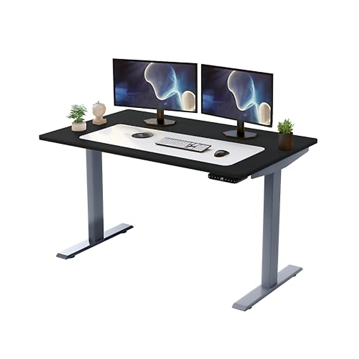 Rise UP Dual Motor Electric Standing Desk 48x30 Black Desktop Premium Ergonomic Adjustable Height sit Stand up Home Office Computer Desk Table Motorized Powered Modern Furniture Small Standup Table
