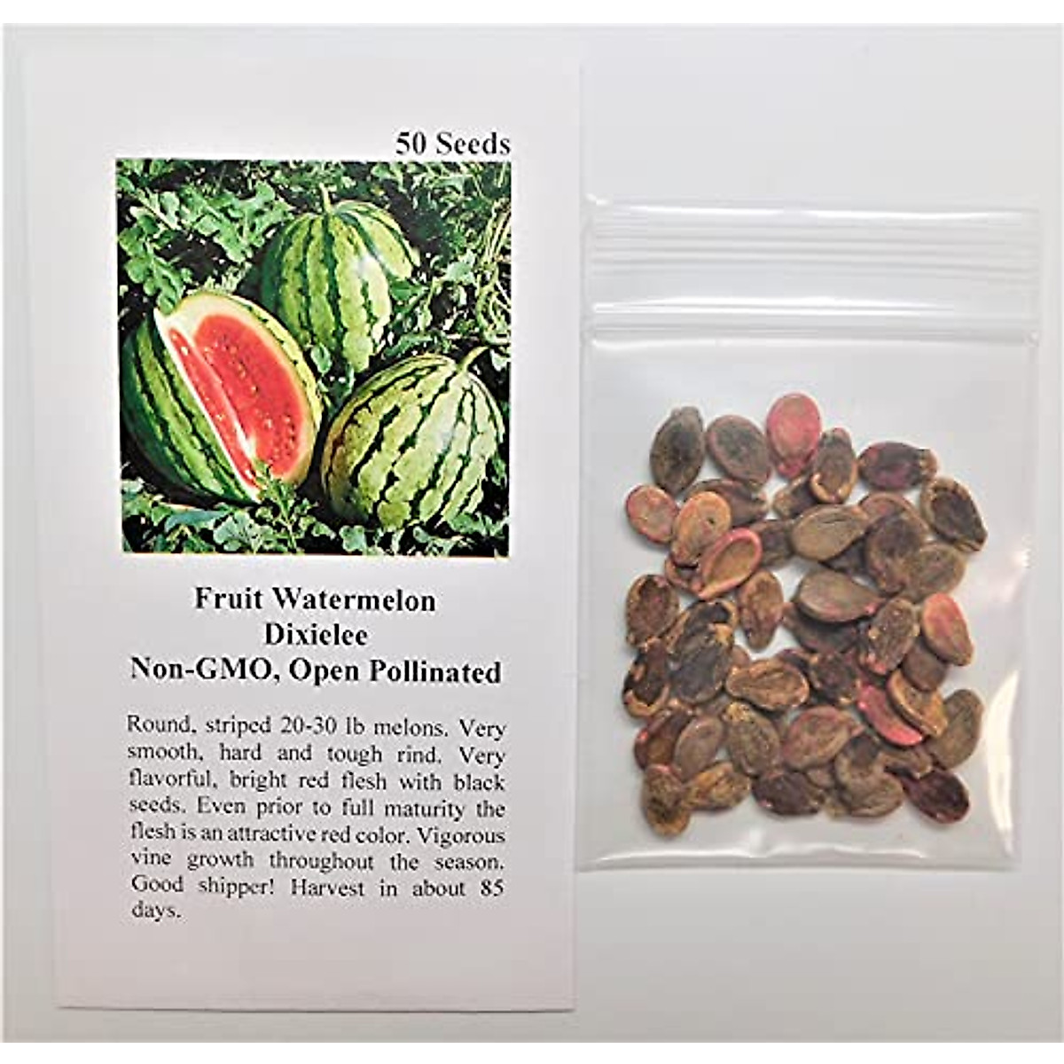 David's Garden Seeds Fruit Watermelon Dixielee (Red) 50 Non-GMO, Open Pollinated Seeds