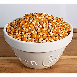 Mushroom Popcorn Kernels by Princeton Popcorn - Farmer Direct, Non-GMO, Gluten Free, UnPopped, Ball Shaped, Old Fashion Popcorn Pops Extra Large popcorn kernels, mushroom popcorn kernels for popping for Air Popper & Stovetop 32oz