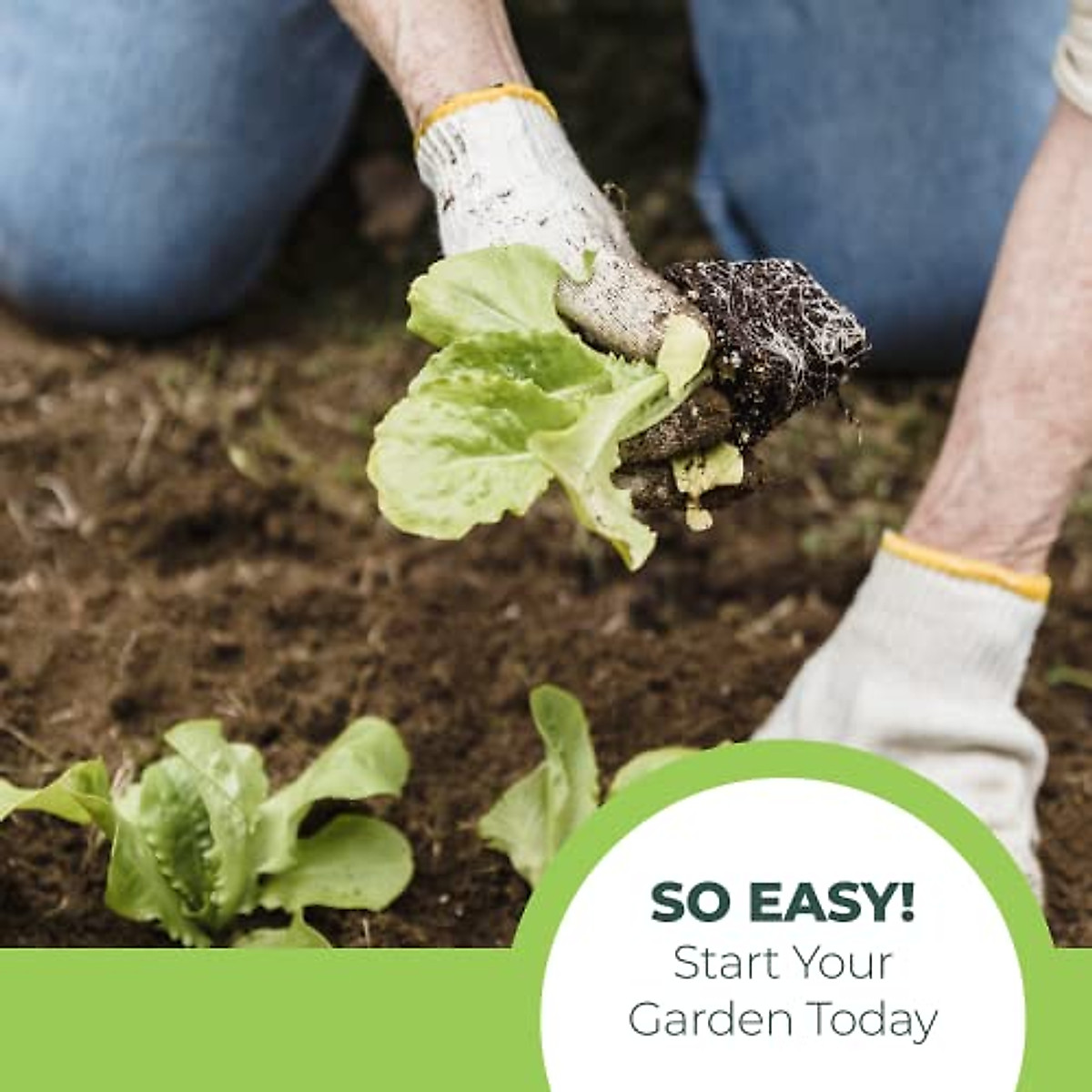 Window Garden Seed Starter Soil Mix - Gardening Starting Soil - Planting Soil for Vegetables, Herbs and Flowers - Ideal Potting Soil, Compressed Discs for Indoor and Outdoor Planting