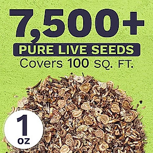 Wildflower Seeds Annual Quick Blooming Mix - Large 1 Ounce Packet Over 7,500 Open Pollinated Seeds