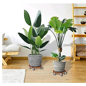 MSWY 1.5" Tiny Threaded Stem Caster Wheels with Brakes,1/4"-20x1" Heavy Duty Low Profile Swivel Replacement Castors for Small Mini Shopping Carts & Funiture, 50lbs per Wheel Set of 4