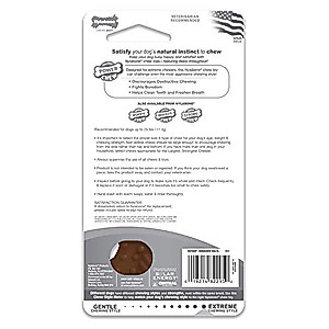 Nylabone Dura Chew Power Chew Textured Bone Flavor Medley Small/Regular (1 Count)