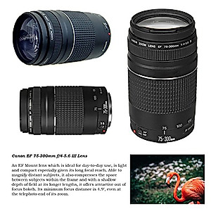 Canon EOS Rebel T7 DSLR Camera with 18-55mm is II Lens + Canon EF 75-300mm III and 420-800mm Preset Zoom Lens + 128GB Memory + Filters + Editing Software + Spider Flex Tripod + Professional Bundle