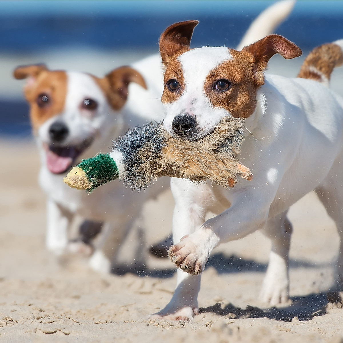 Ruffin' It Woodlands Mallard Stuffed Plush Dog Toy, Large