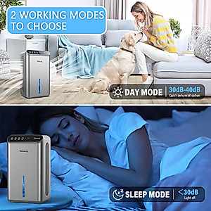 Dehumidifier for Home, 85 OZ Water Tank, (800 sq.ft.) Small Dehumidifier with Drain Hose for Bathroom Bedroom with Auto Shut Off, Timer, 7 Colors LED (Sliver)