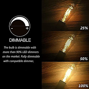 LED Dimmable Edison Light Bulbs 4W, 2200K-2400K Warm White (Amber Glass) ST64, E26 Base Pack of 6