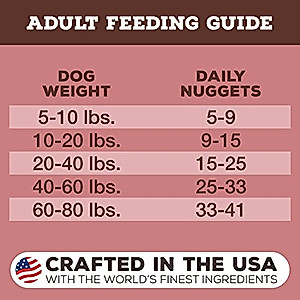 Primal Freeze Dried Dog Food Nuggets Turkey & Sardine 14 oz, Complete & Balanced Scoop & Serve Healthy Grain Free Raw Dog Food, Crafted in The USA