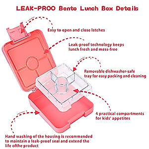 Bento Lunch Box Set for Kids with 10oz Soup Thermo, Leak-Proof Lunch Containers with 4 Compartment, Kids Thermo Hot Food Jar and Insulated Lunch Bag for Kids to School,BPA-Free(Flamingos)