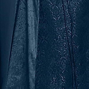 Mystery Box Medieval Costume Women Medieval Dress Vampire Dress Victorian Costumes for Women Witch Costume Amazon Gift Cards Blue