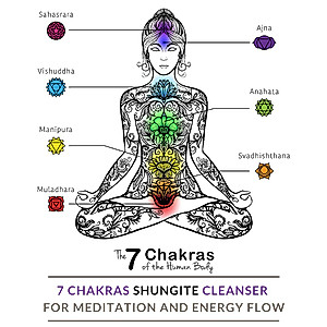 QUANTHOR Shungite Stones Protection Necklace | Authentic from Karelia Shungite Crystal with Carbon Fullerenes | Bad Energy Protection Shungite Necklace (Round)