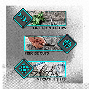 SE 3-Piece Chinese Scissors Set (8", 6", and 4") - SC616