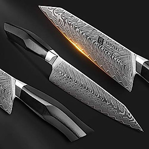 XINZUO 5-piece Damuscus Kitchen Knife Set,67 Layer Hand Forged Damascus Steel Professional Chef Knife Set with Gift Box, G10 Black Handle,Razor Sharp-Feng Series