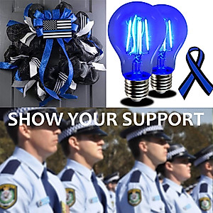 AmeriLuck Cobalt Blue Colored LED Filament A19 Light Bulbs, 40W Equivalent (4W), E26 Medium Base (Blue, 2 Pack)