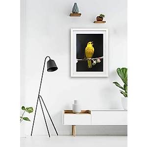 WKDP 12x16inch Diamond Painting Picture Frame 30x40cm Diamond Art frames ,Display Pictures 10x14 inch With Mat or 12x16 Without Mat, Wall Hanging Decoration Poster Frame Photo Frame Cross Stitch