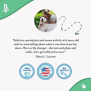 Advanced Hip and Joint Supplement for Dogs - Natural Extra Strength Dog Arthritis Pain Relief & Anti Inflammatory for Dogs Helps Limping, Mobility Issues, Hip Dysplasia, ACL Tears - 180 Tiny Pills