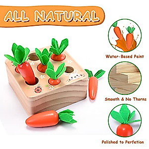 XPIY Montessori Toys for Babies 6-12 Months, Educational Shape Sorting Toys for Toddler Fine Motor Skill Development, Carrots Harvest Wooden Puzzle, Gift for Kids First Birthday