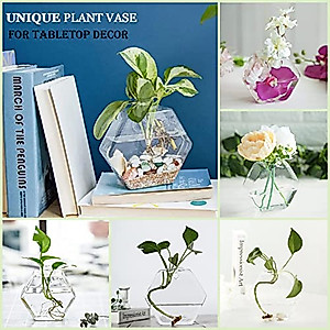 Kingbuy Wall Hanging Glass Planter Propagation Terrarium Hexagon Shape Flower Vase for Home Office Decor, Plant Lover Gifts, 3 Pack, Medium