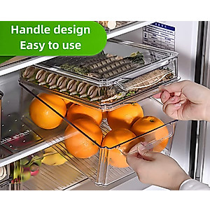 Mytkoj Refrigerator Organizer Bins,Stackable Refrigerator Organizer,Refrigerator Organizer Bins with Lids Sets,use for Food,Fruits,Drinks,Vegetable Storage (10pack)