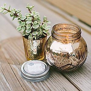 Bridgewater Candle Sweet Grace Home Décor Collection Soy Blend Fragranced Candle #008