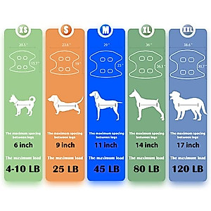 Guzekier Dog Grooming Hammock Harness for Small Dogs and Cats, Groming tabel for Dog, Dog Grooming Sling, Pet Grooming Supplies Kit with Nail Clippers/Trimmer, Nail File,