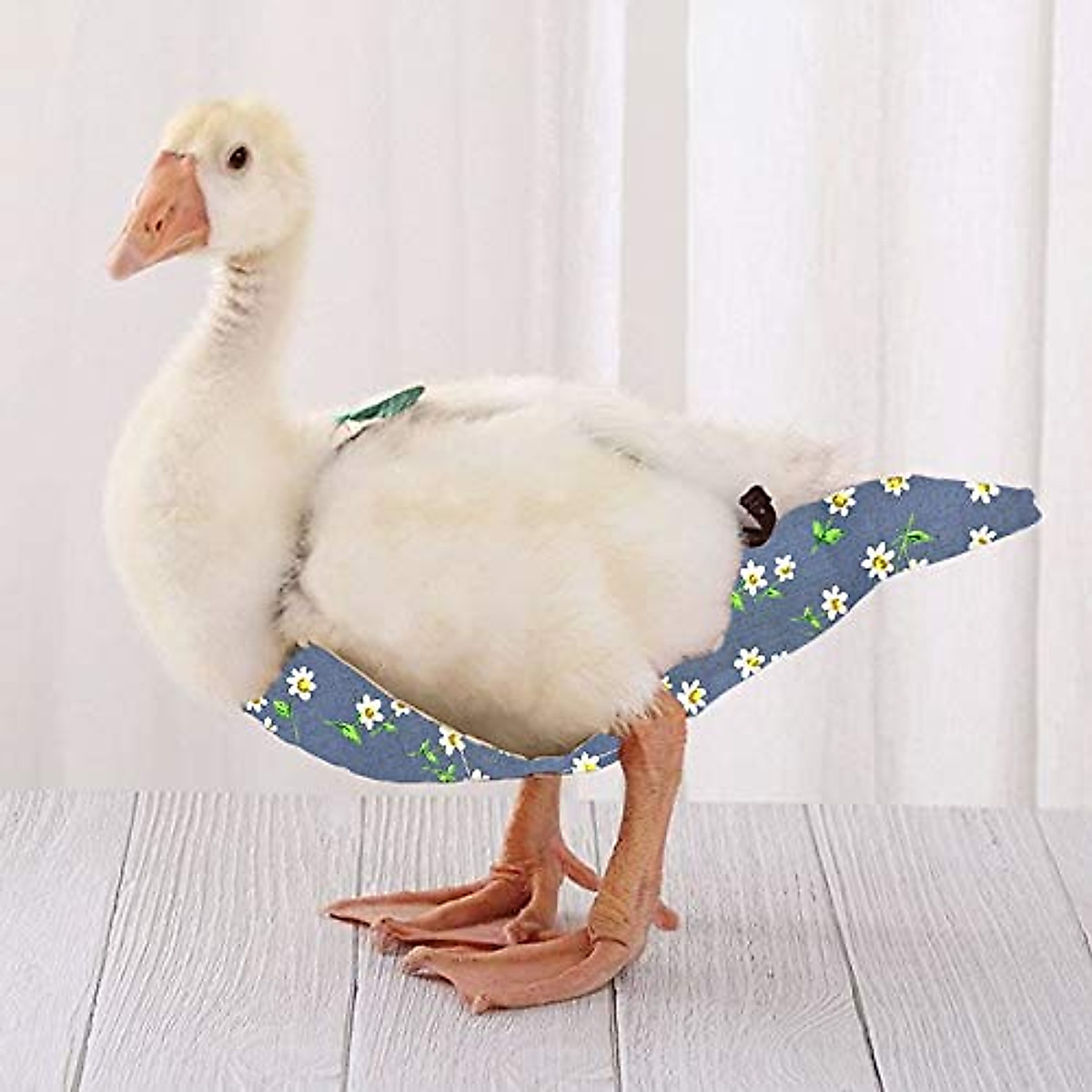 VIVEKATT Chicken Diaper, Pet Diaper for Chook Duck Goose, Washable Pet Diapers Bow Tie Duck Diapers Chicken Diaper for Poultry, 1 Count (Pack of 1)