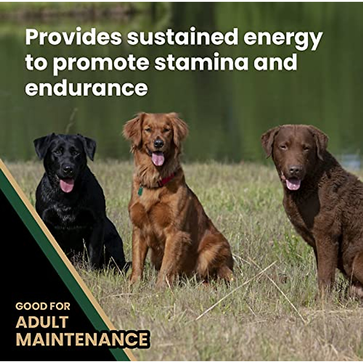 Victor Super Premium Dog Food – Performance Dry Dog Food – 26% Protein for Active Adult Dogs – Includes Glucosamine and Chondroitin for Hip and Joint Health, 40lbs