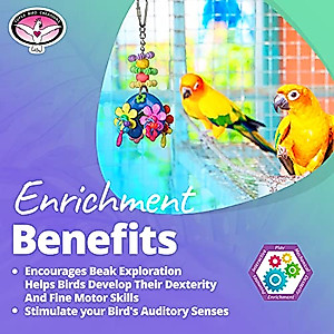 Super Bird Creations SB1085 Flower Power Bird Toy, Small/Medium Bird Size, 7" x 2.5" x 2"