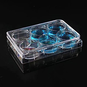 6 Well Culture Plate - Culture Plate 6 Well - with Lid, Flat Bottom, Individual Pack (Pack of 10)