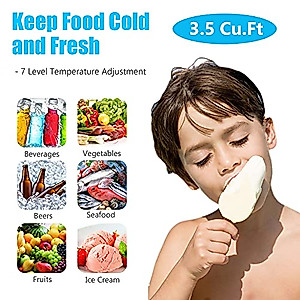 Chest Freezers Compact Mini Deep Freezer WANAI 3.5 Cu.Ft Free-standing Top Door Room Dorm Office Garage Freezer with 7 Adjustable Temp Control Removable Basket for Apartment Basement Business Rmovable Storage Basket for Home, Kitchen and Office, Black wit