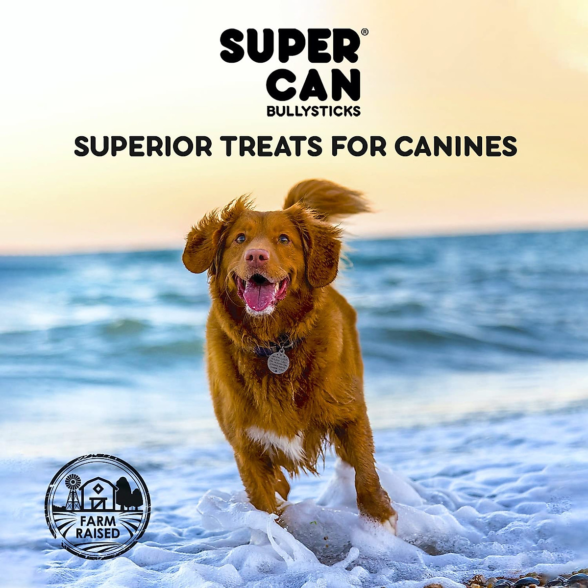 SUPER CAN BULLYSTICKS Beef Trachea Dog Chews 6'' (10 Count) | 100% Natural Farm Raised Beef Dental Treats | Non-GMO Chews for Puppies and Adult Dogs